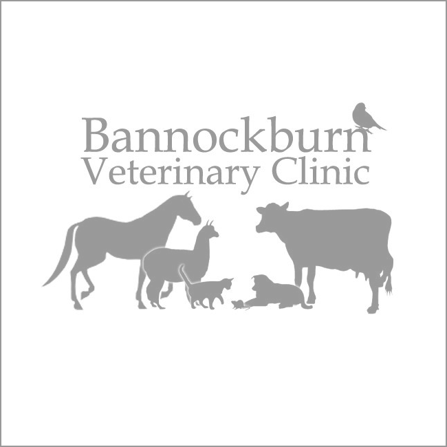 Cattle Internal Parasiticides - Bannockburn Vet Online Shop